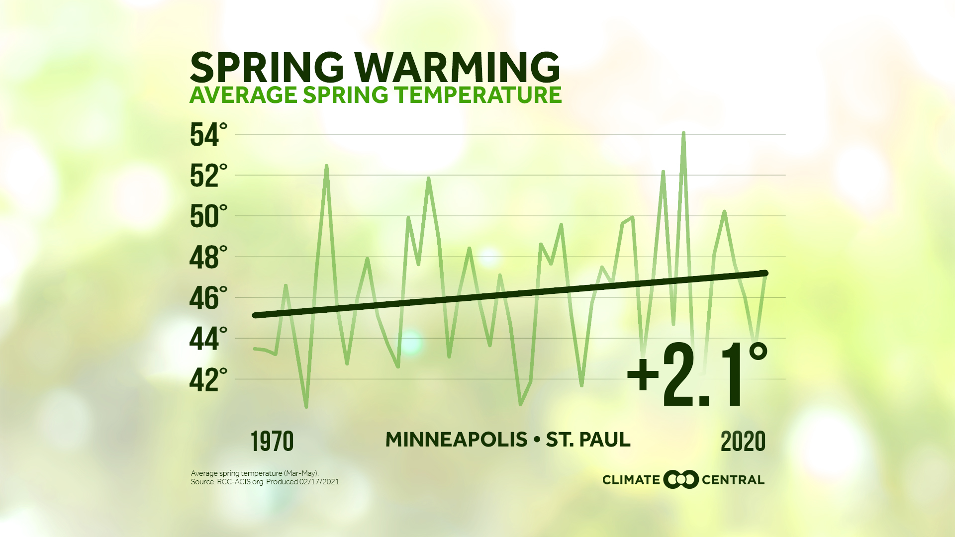 North Minneapolis ‘eco-mosque’ uses rain gardens to stop flooding