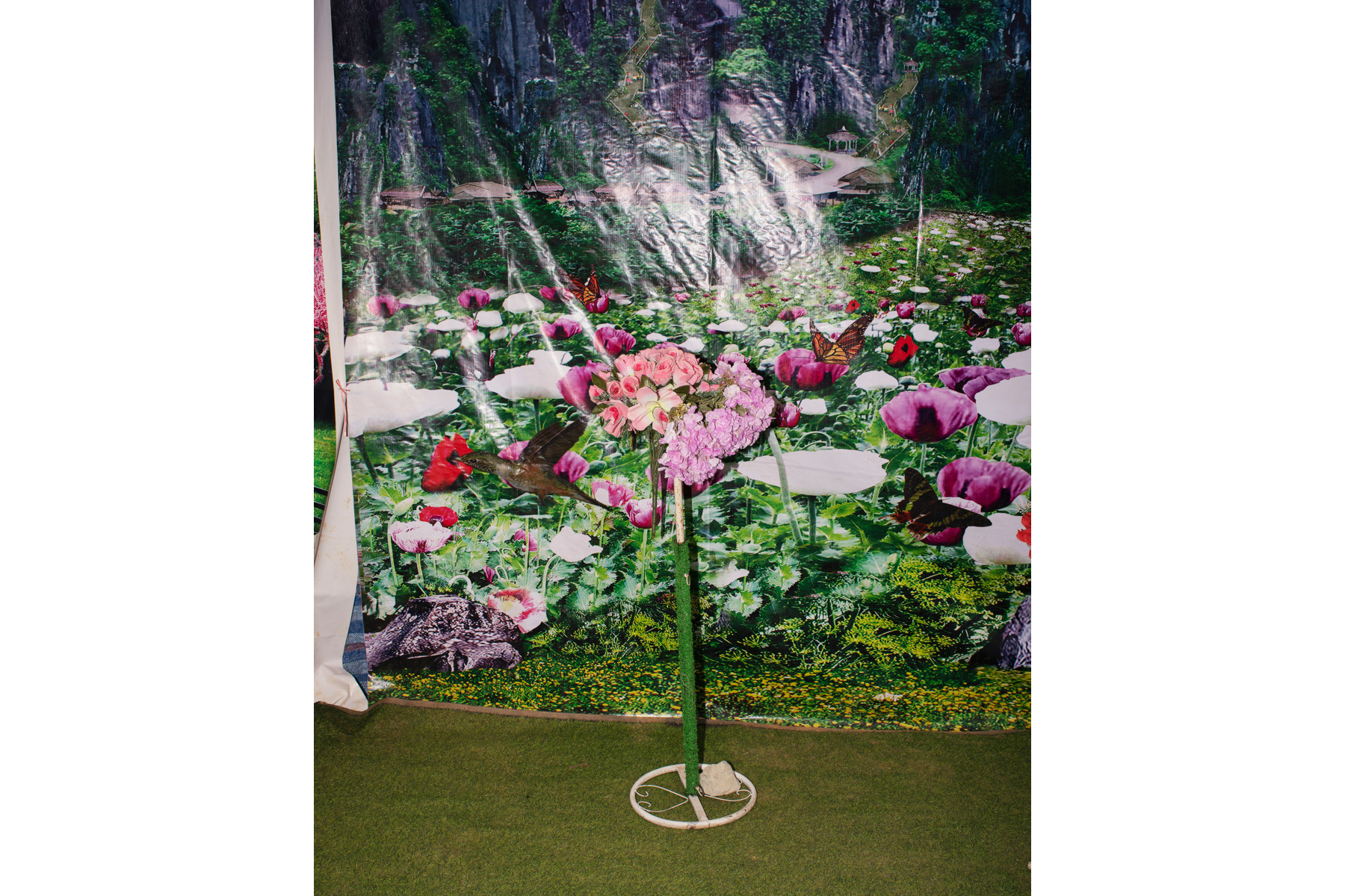 Catch photographer Pao Houa Her’s show at the Walker Art Center before ...