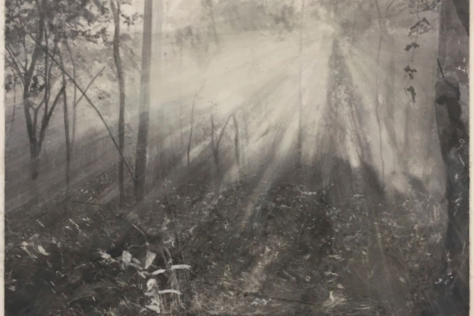 Teo Nguyen paints Vietnam at peace in new Minneapolis exhibit