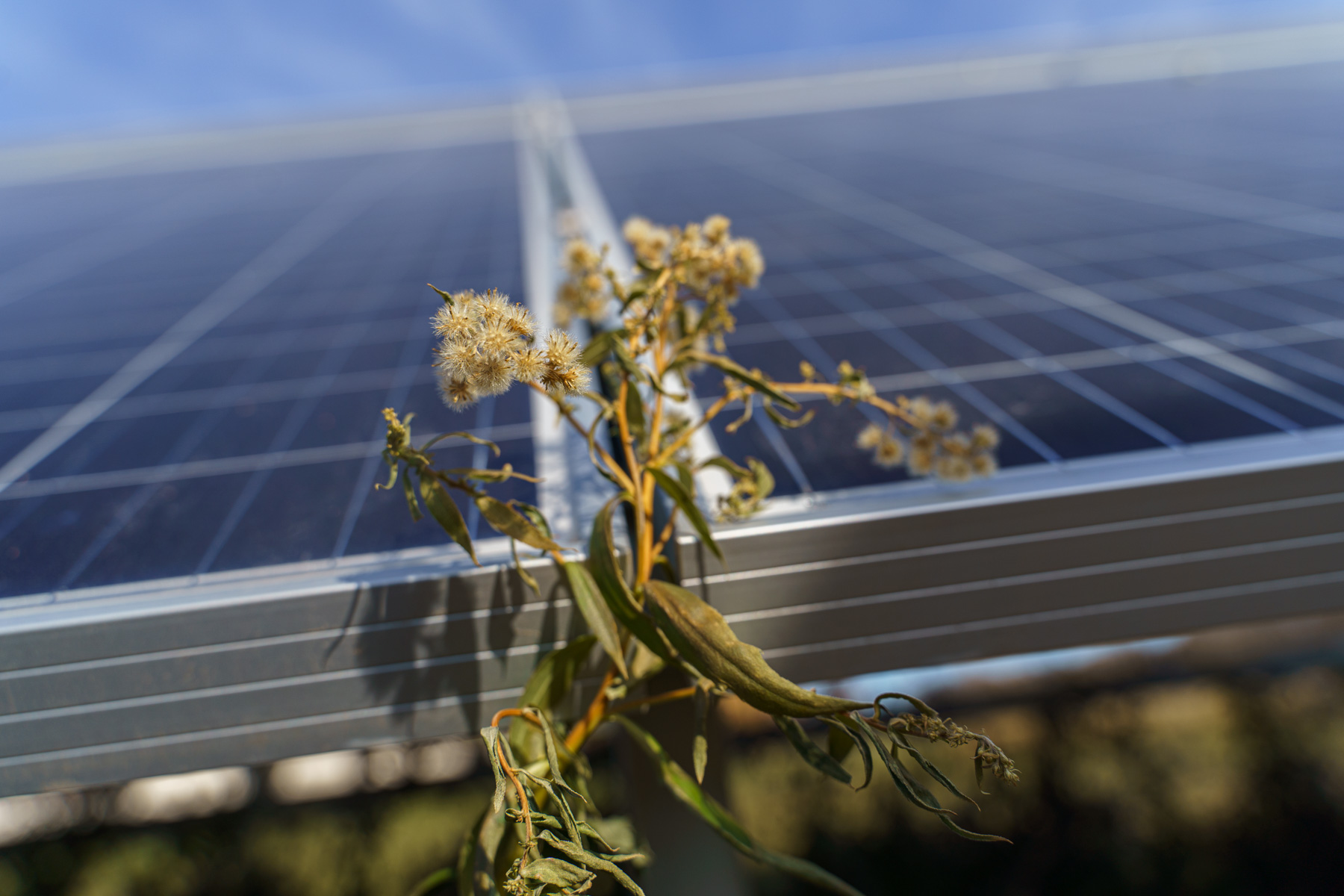 White Earth college becomes a bright spot for solar job training.