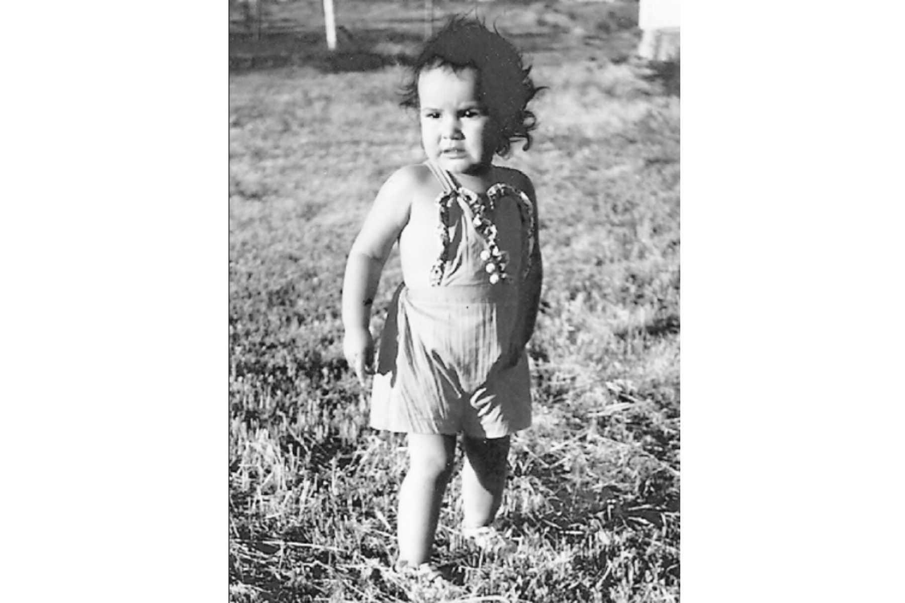 Indigenous activist reflects on adoption, culture in new memoir