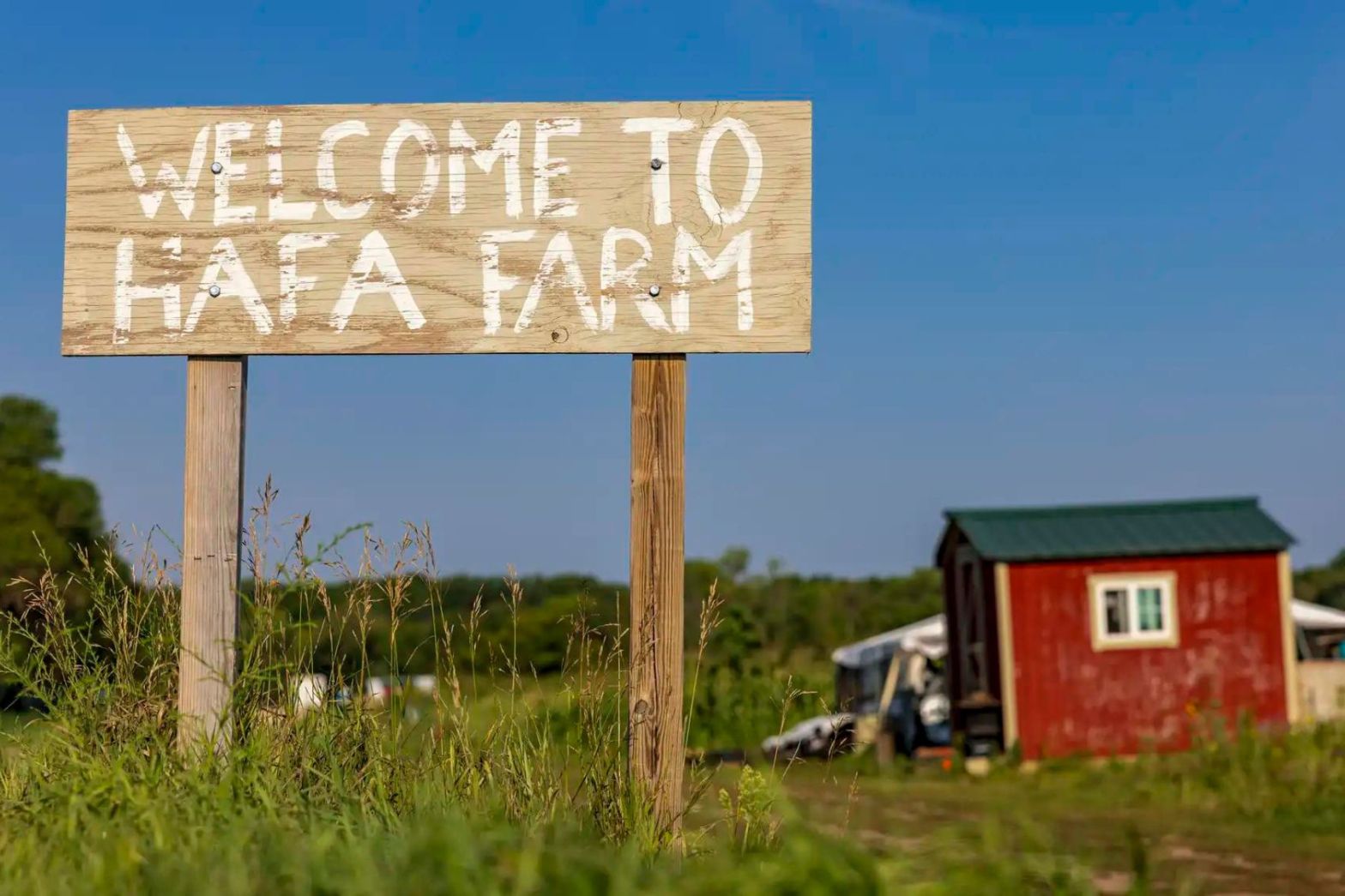 Hmong farmers plant community and change in Dakota County