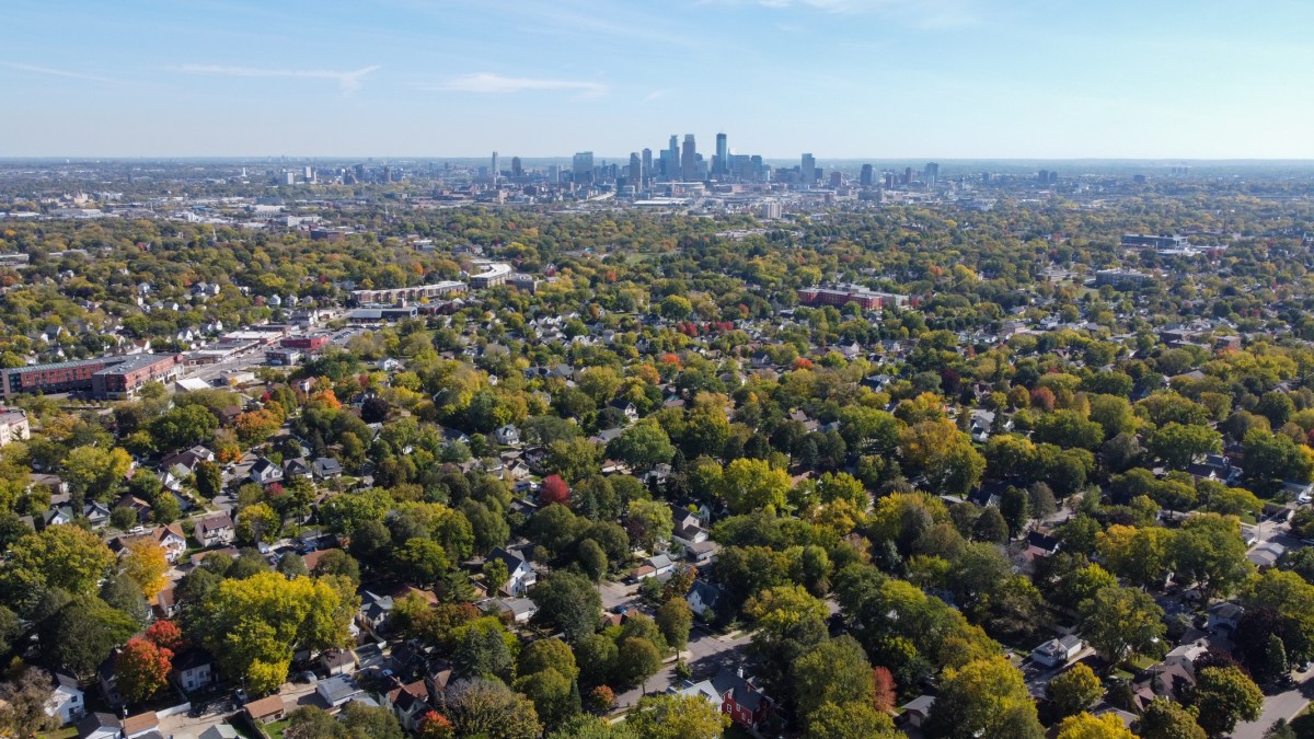 $500K donation will pay for Minneapolis ash tree removal