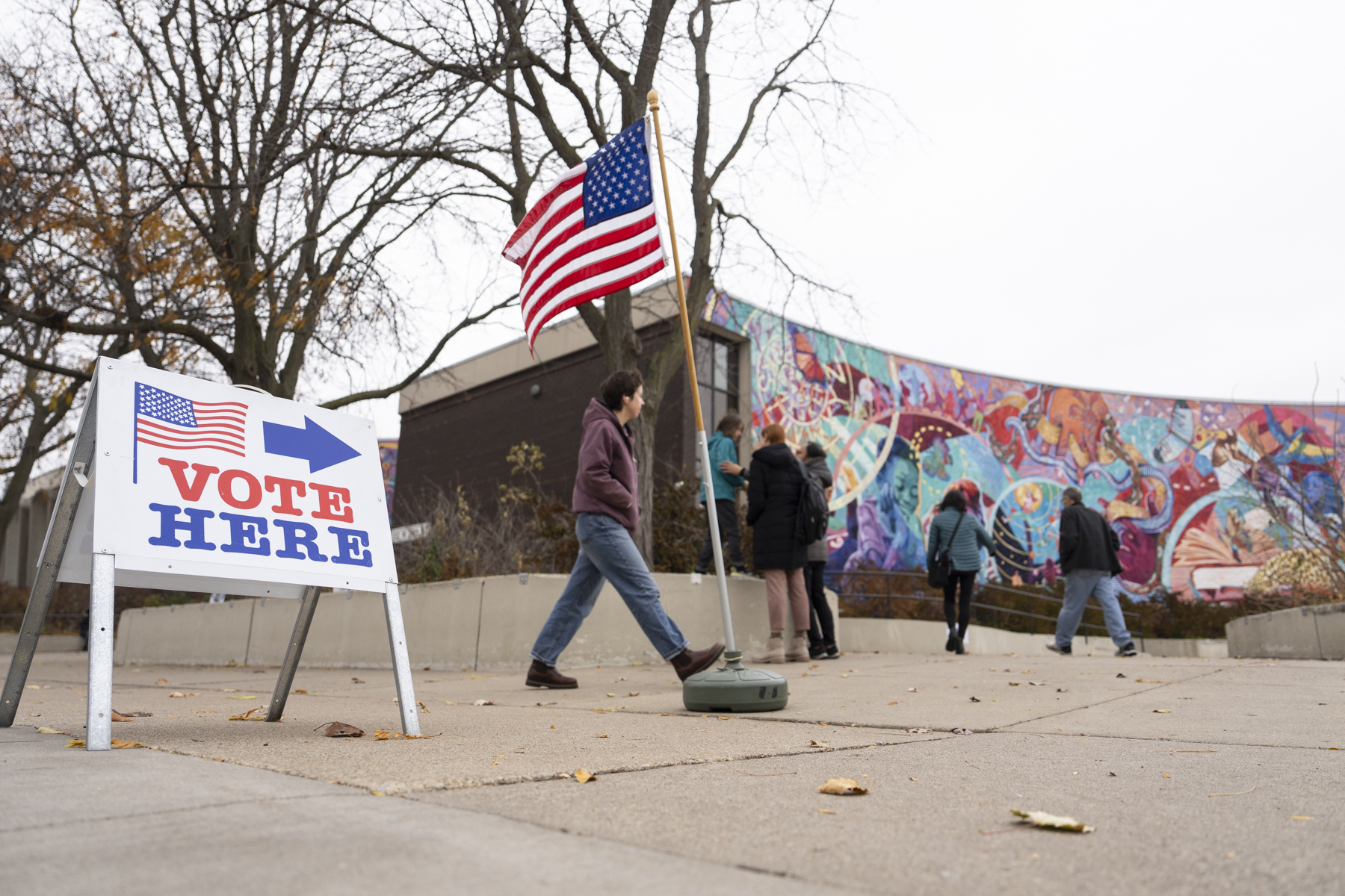 Minnesota primary election 2024: What to know, how to vote