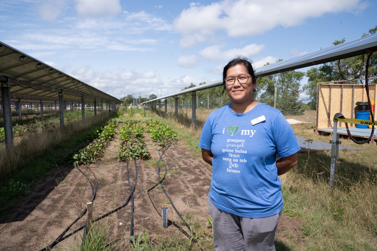 Immigrant farmers, solar garden partner to pioneer new methods